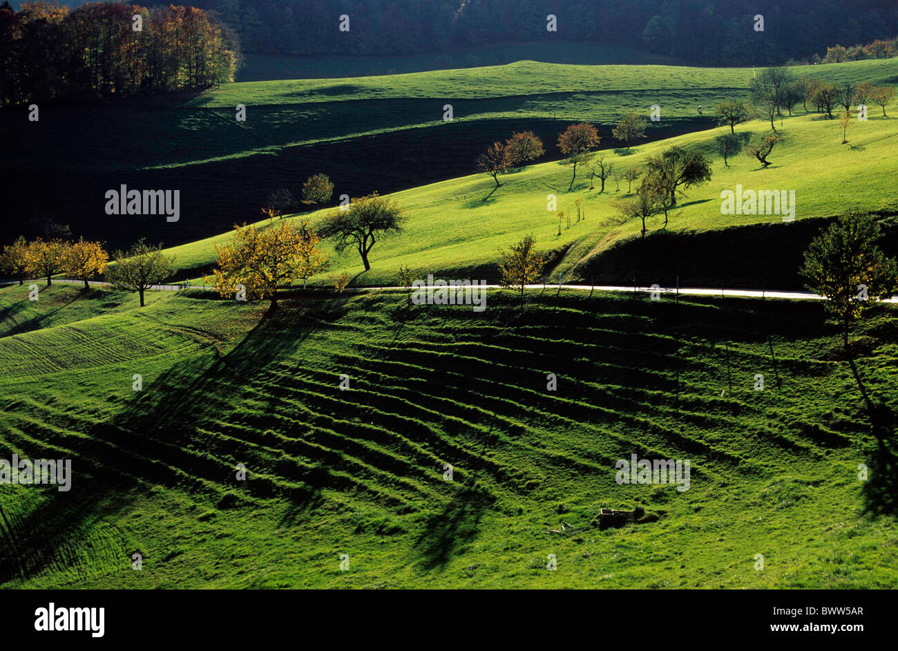 Canton of basel landschaft -Fotos und -Bildmaterial in hoher Auflösung ...