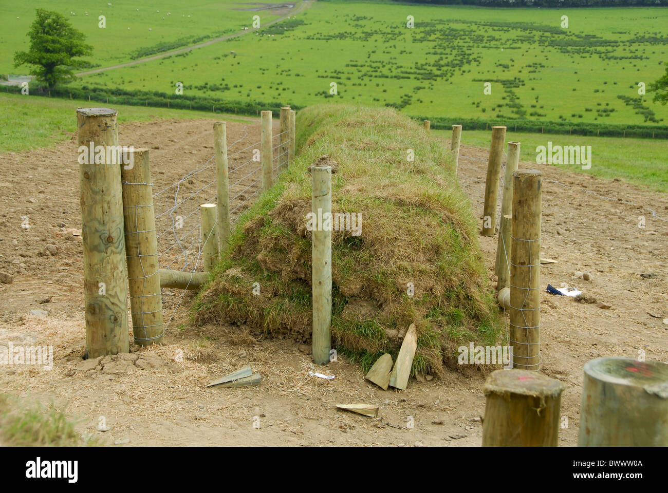 Devon hedge bank -Fotos und -Bildmaterial in hoher Auflösung – Alamy