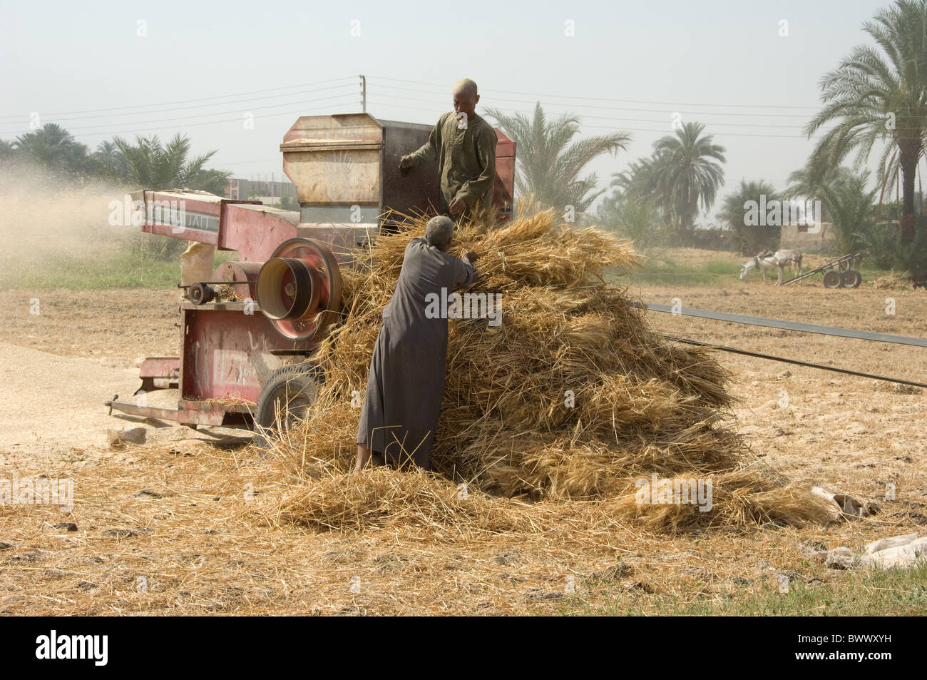 Threshing machines -Fotos und -Bildmaterial in hoher Auflösung – Alamy