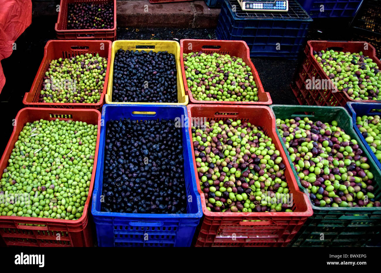 Istanbul Bio Stockfotos und -bilder Kaufen - Alamy