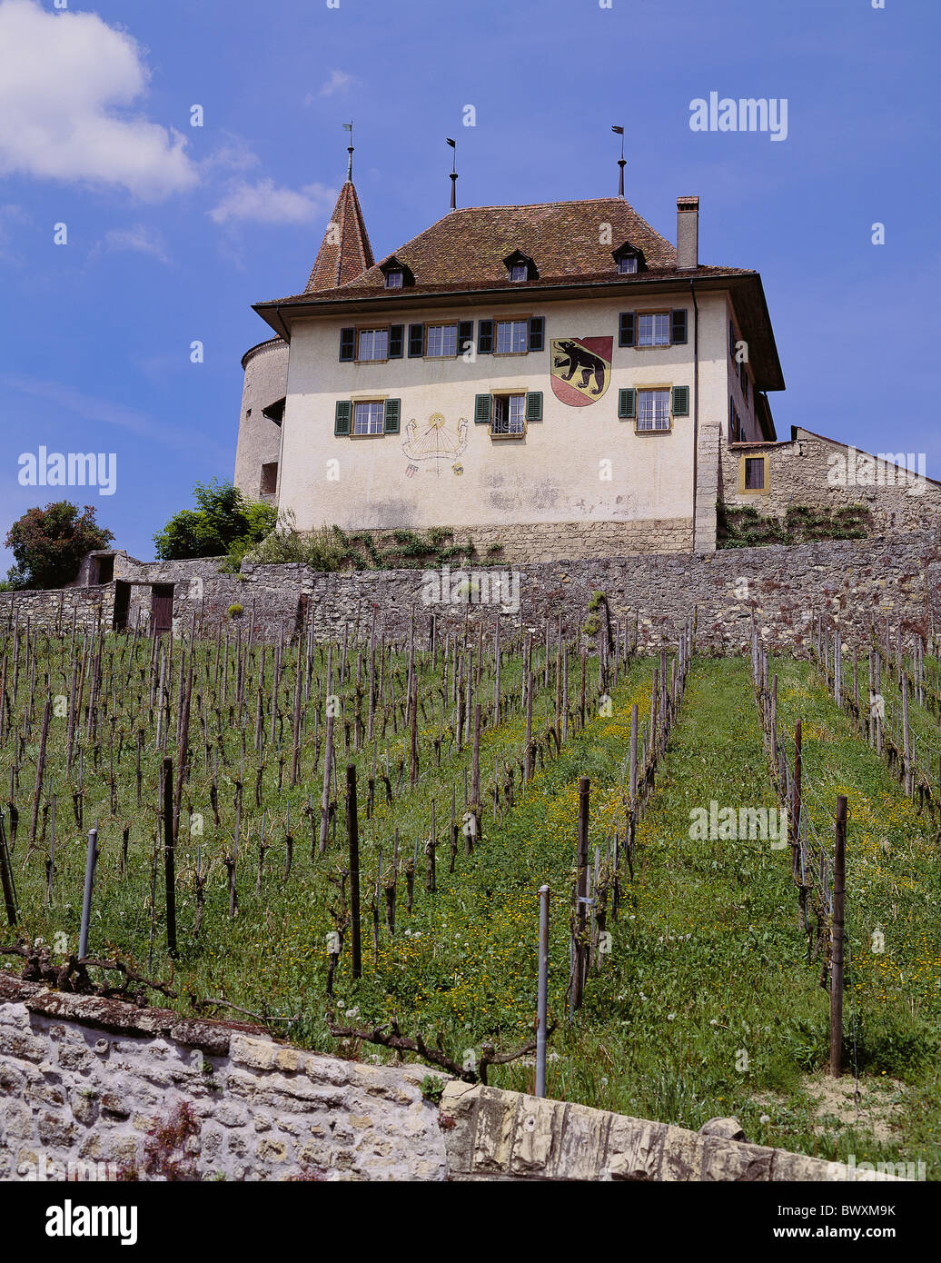 Schweiz Europa Kanton Bern Erlach Schloss Berner Wappen Weinberg Berner ...