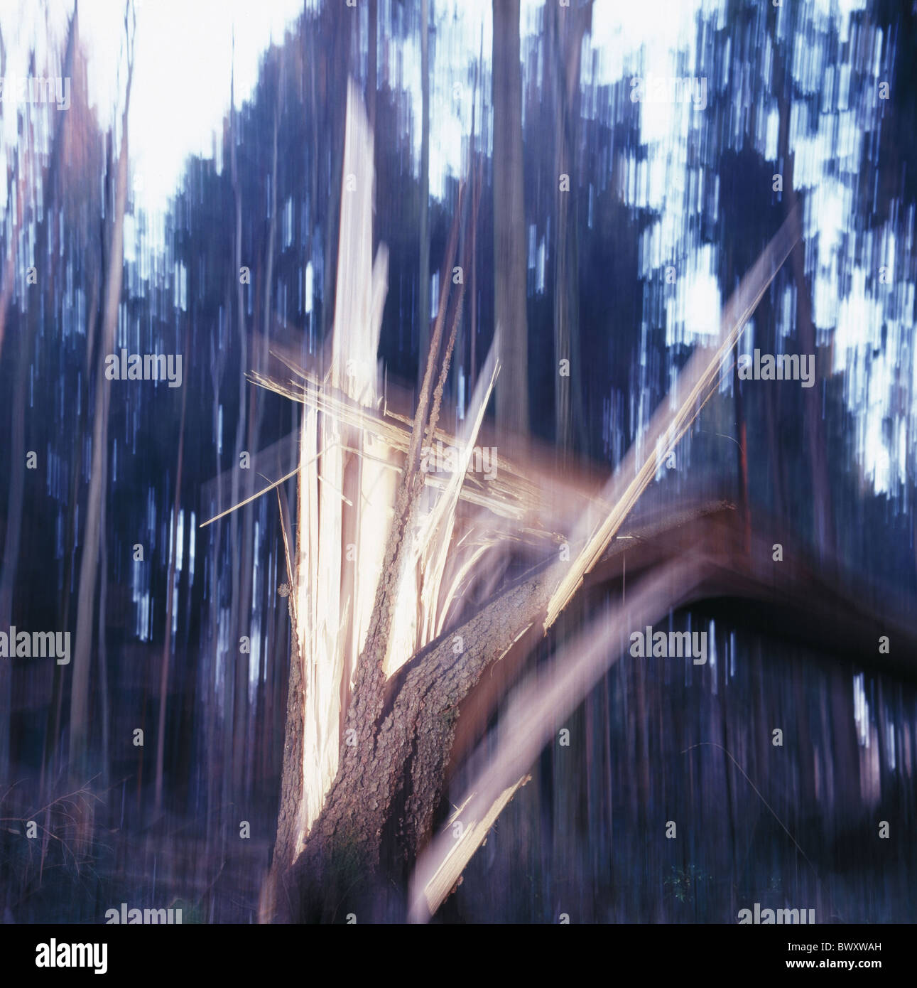 Lothar Storm Stockfotos und -bilder Kaufen - Alamy