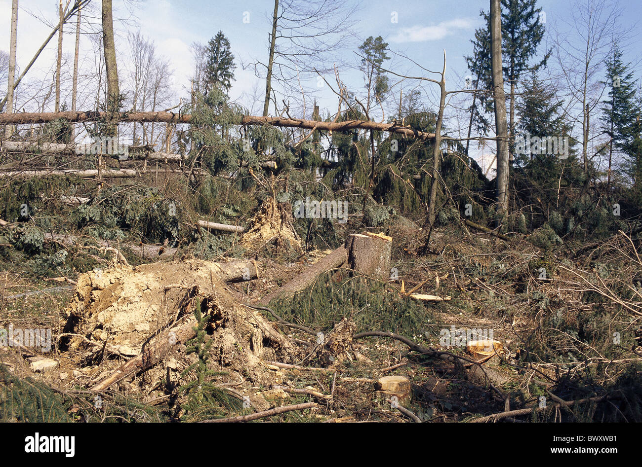 Lothar Storm Stockfotos und -bilder Kaufen - Alamy