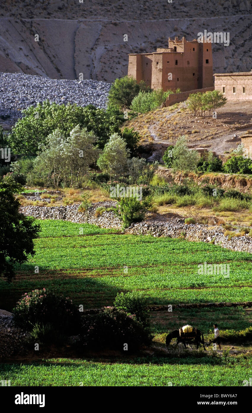 Kasbah oder Festung mit Blick auf Bäume und ein Feld im Dades Schlucht ...
