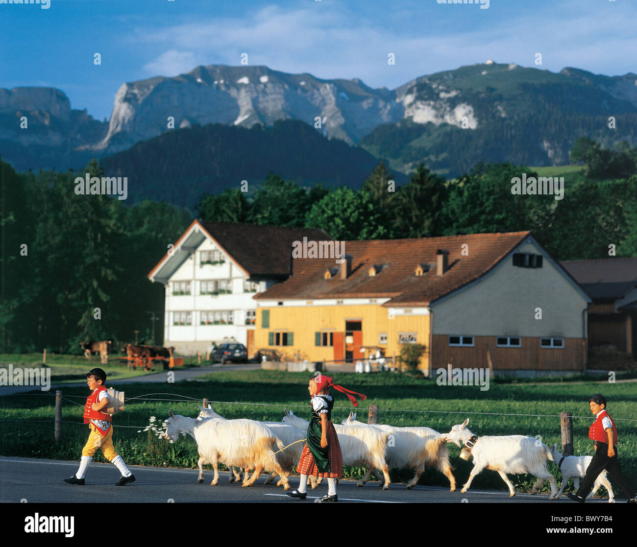 Almabtrieb Alpfahrt Appenzell typisches Haus Kinder Bauernhof Bauernhof ...