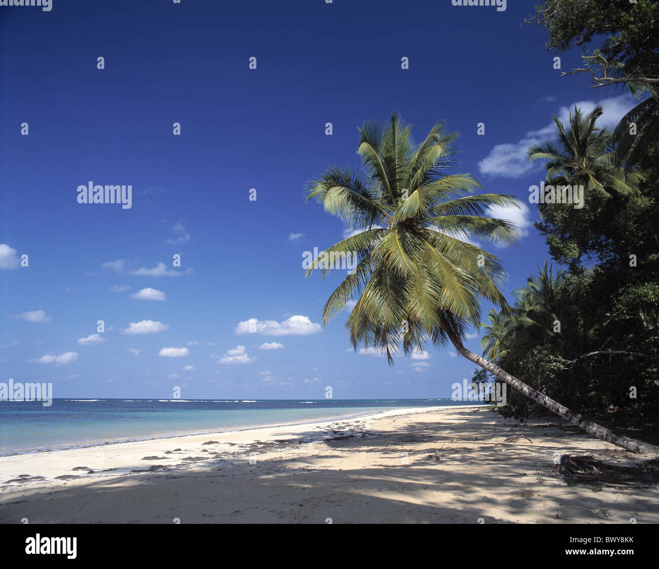 Dominikanische Republik Karibik Lesung Terrenas Meer Palmen Palmen ...