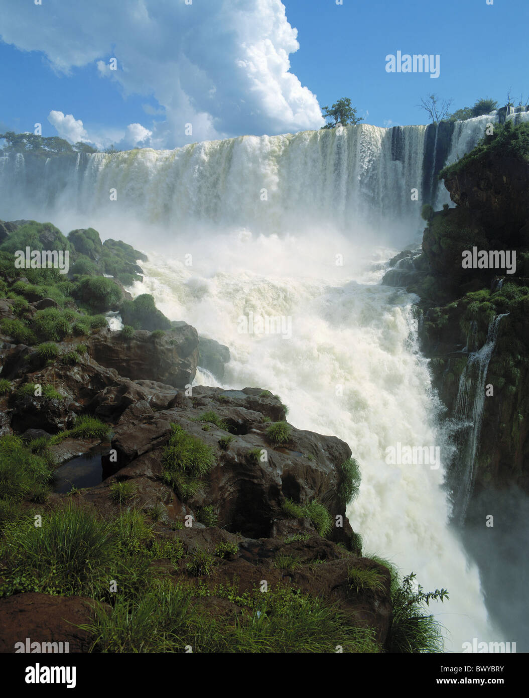 Adam und Eva Herbst Brasilien Südamerika Iguazu Iguacu Iguassu Falls ...