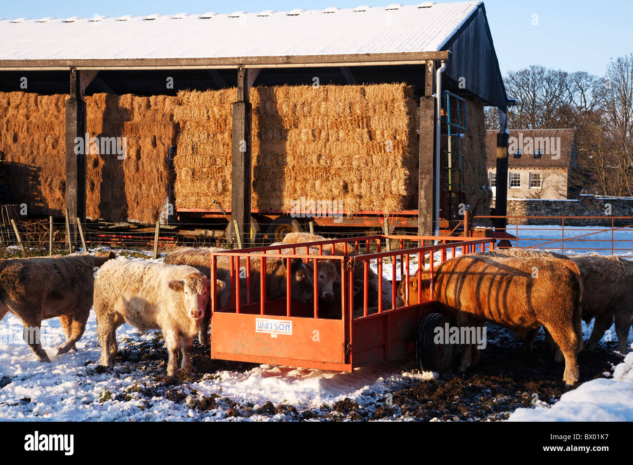 Durch scheune -Fotos und -Bildmaterial in hoher Auflösung – Alamy