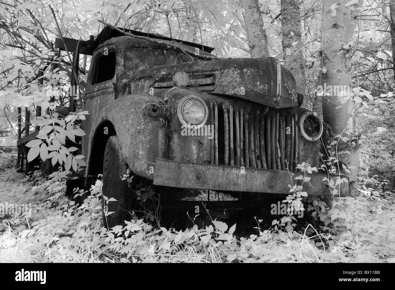 Alter lkw im wald Schwarzweiß-Stockfotos und -bilder - Alamy