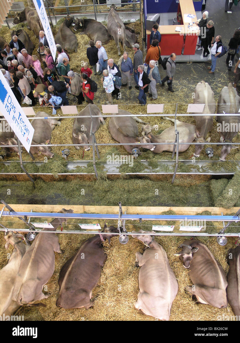 Ausstellung exponate ausstellung ausstellungen halle -Fotos und ...