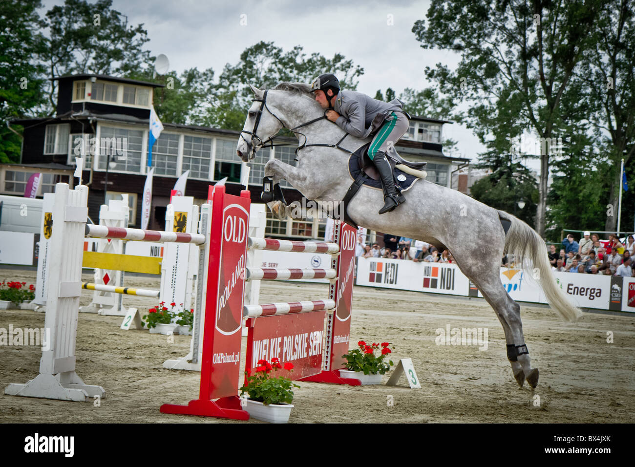 Braunes pferd springen -Fotos und -Bildmaterial in hoher Auflösung – Alamy
