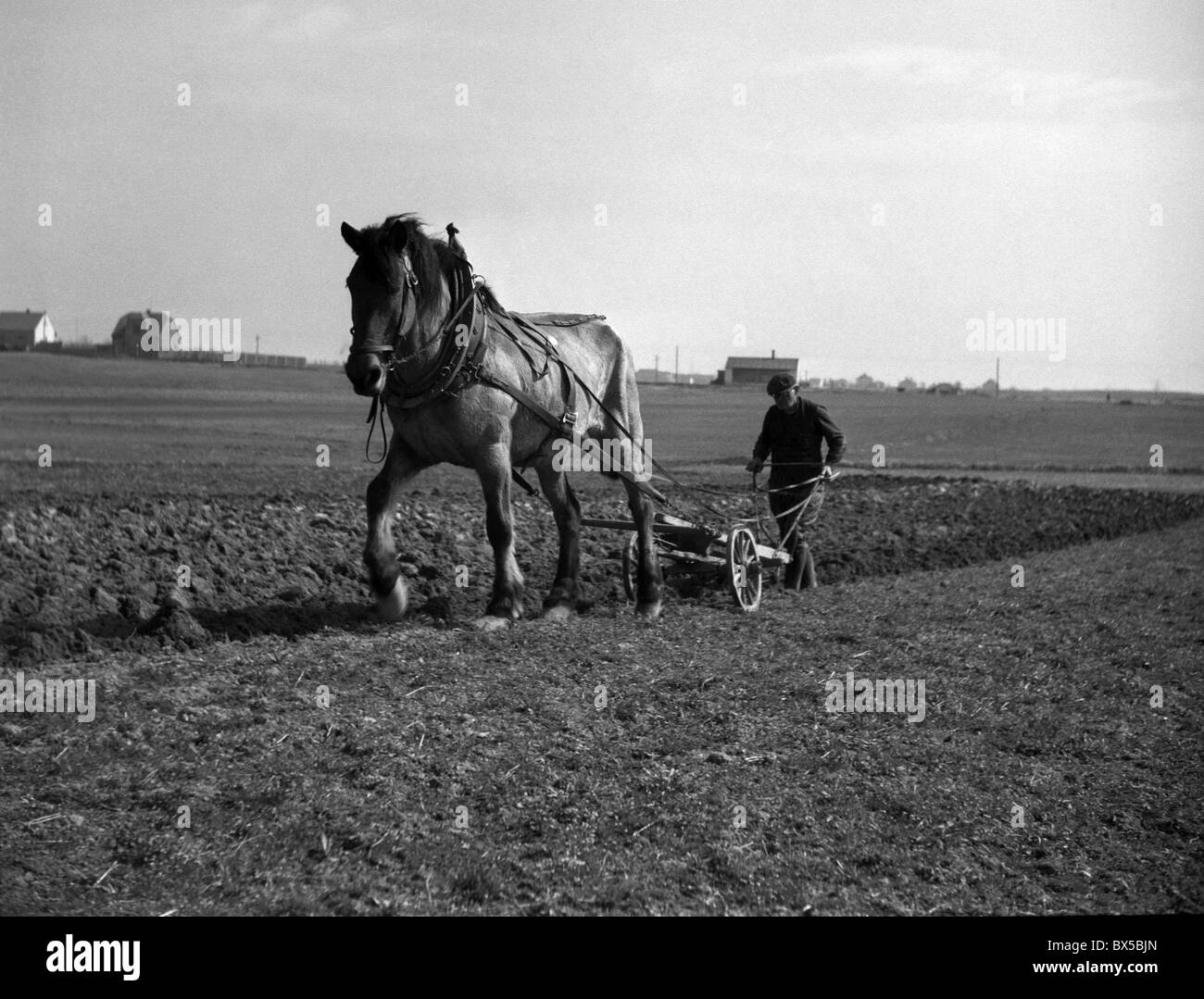 Pflug pferd Schwarzweiß-Stockfotos und -bilder - Alamy