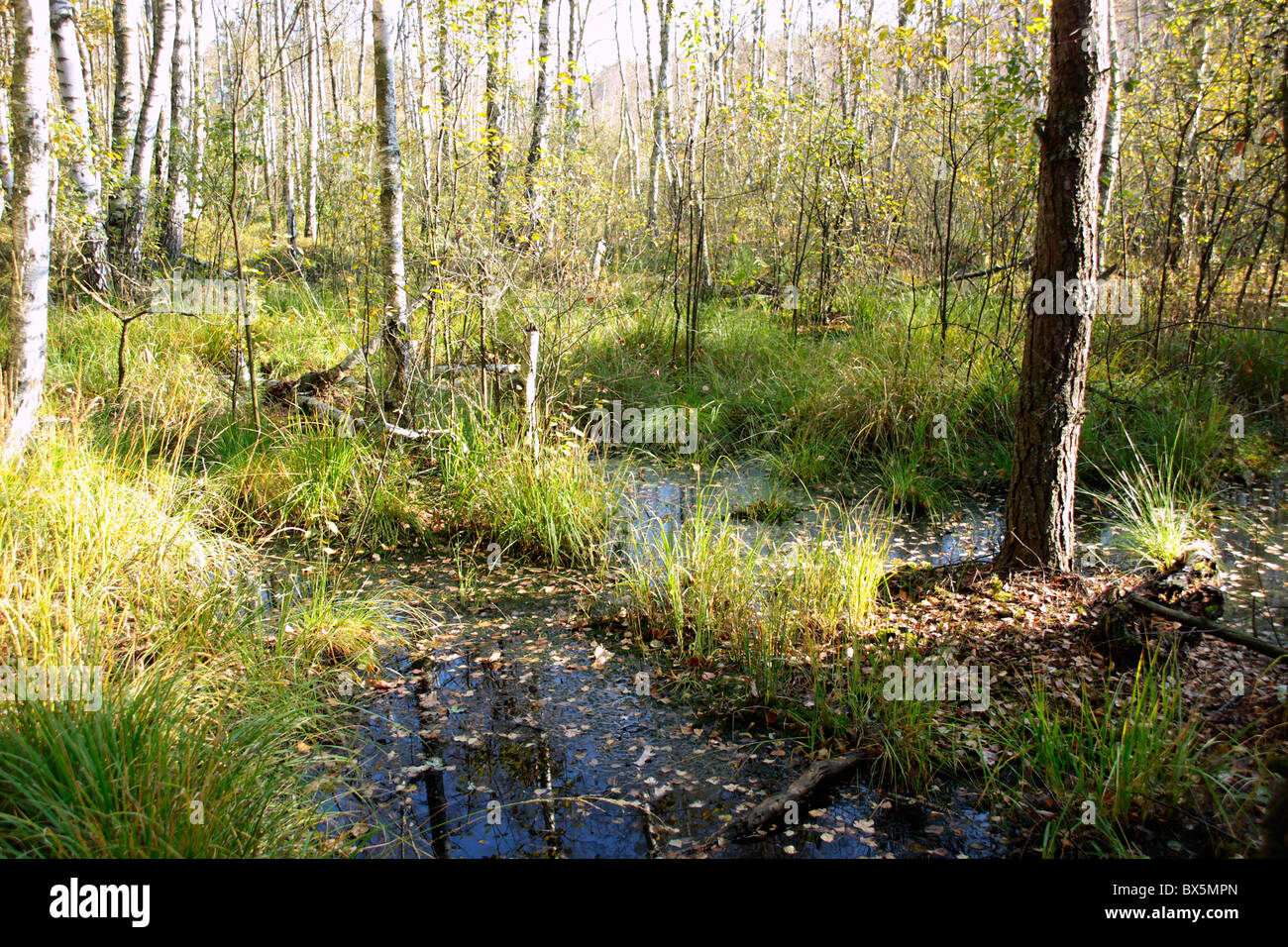 Park kampinski -Fotos und -Bildmaterial in hoher Auflösung – Alamy