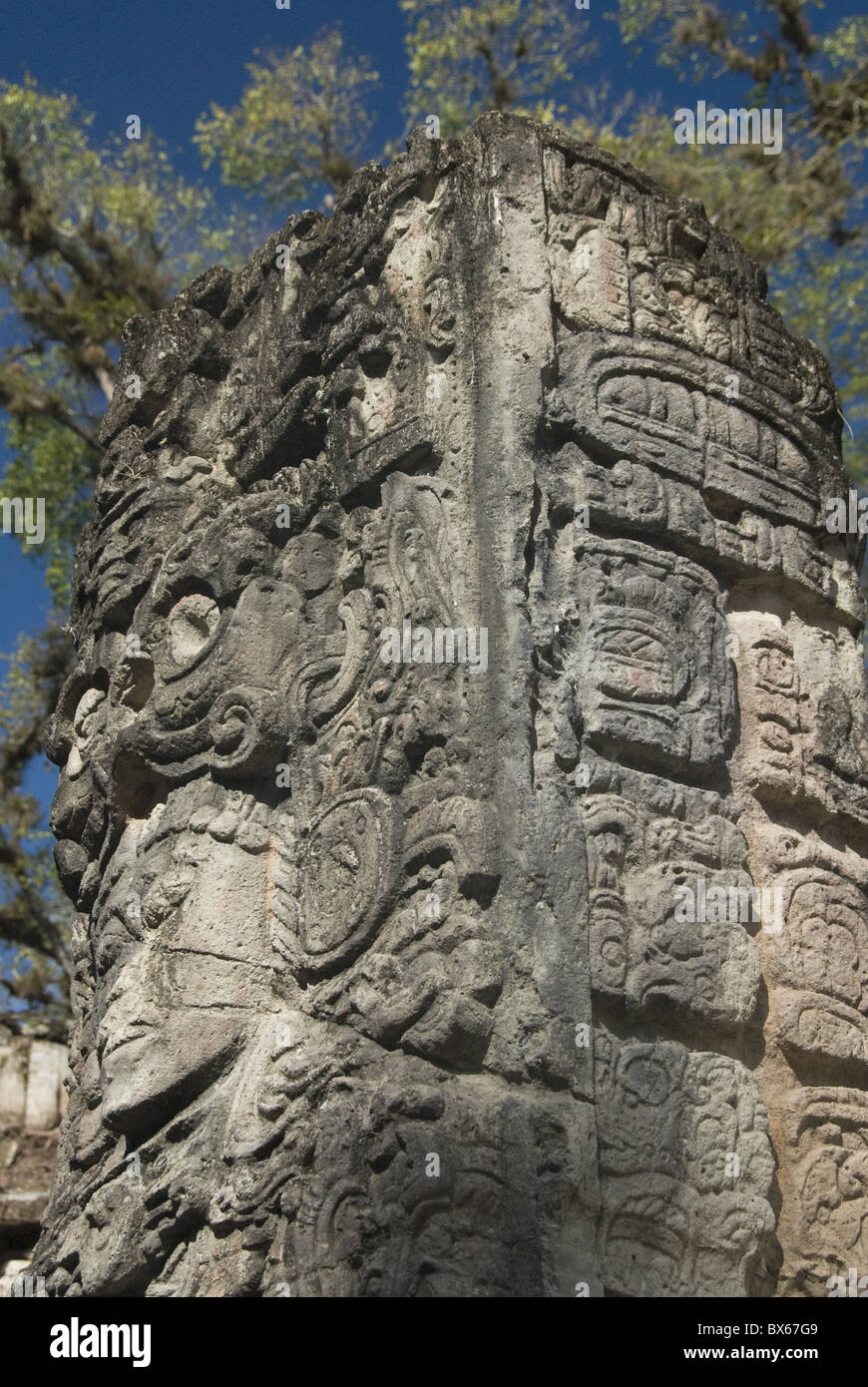 Maya-Glyphen auf der Seite der West Court, Copan archäologische Park ...