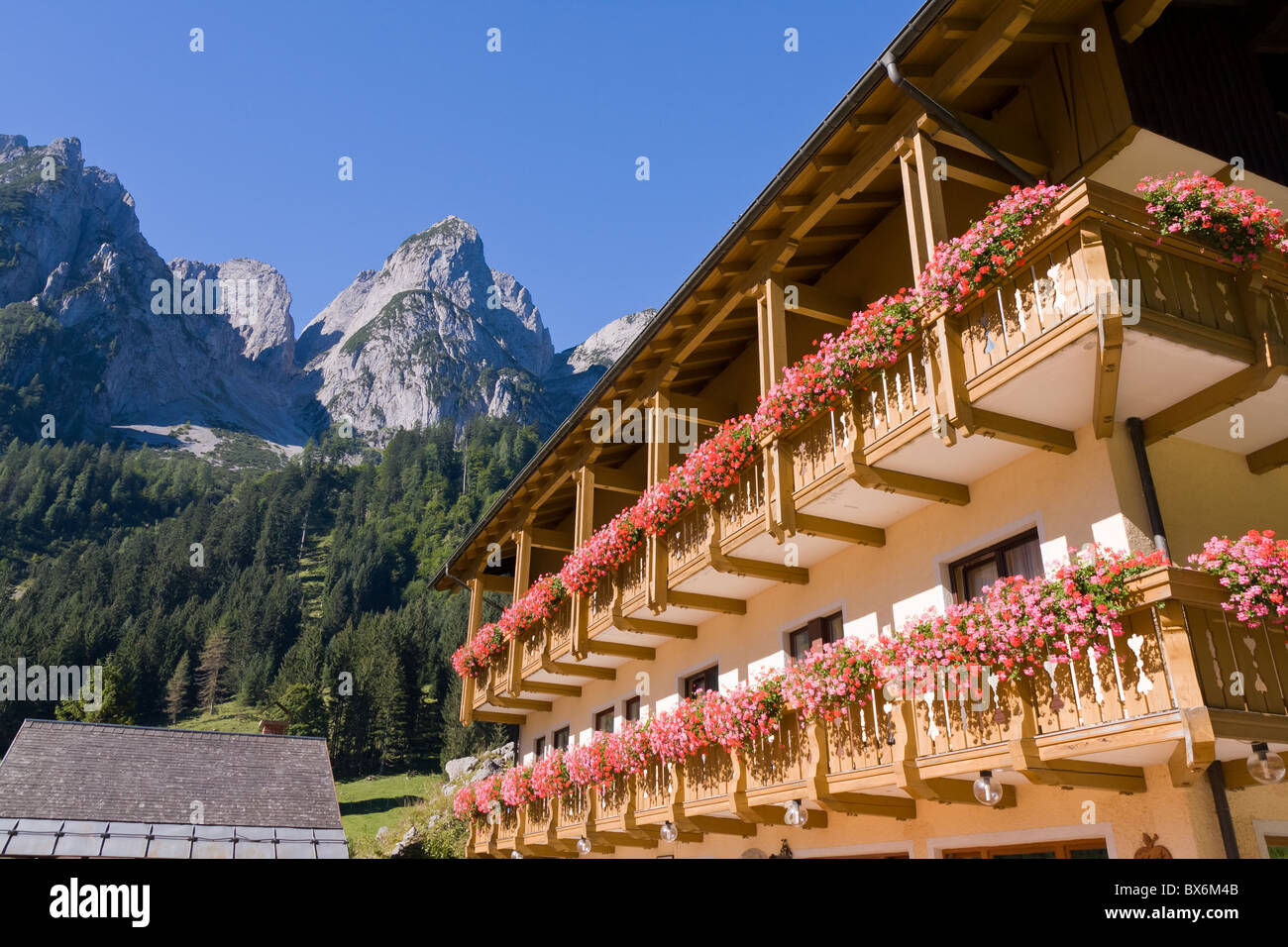 typische alpine Haus mit Geranien blühen Stockfotografie - Alamy