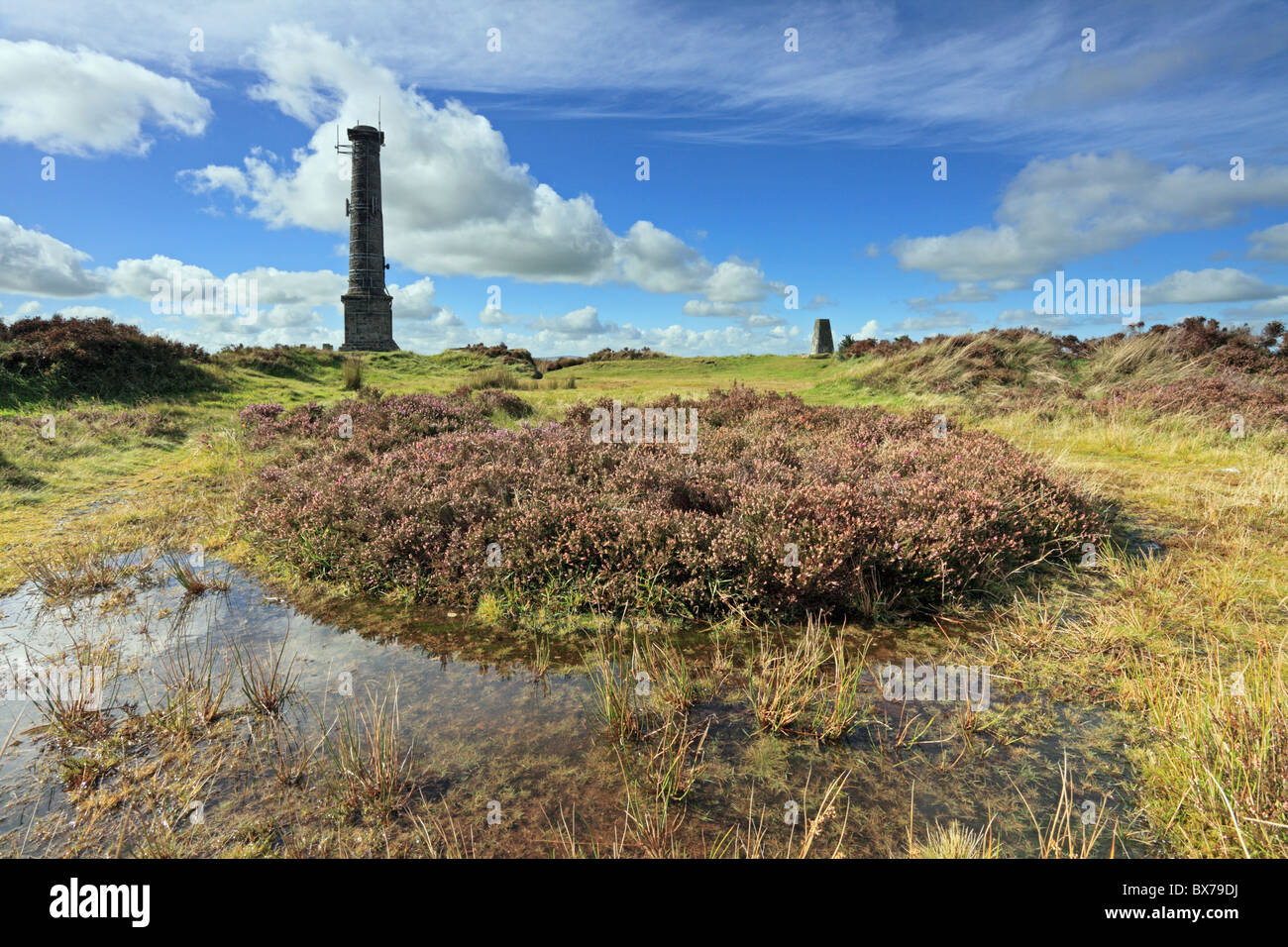 Kelly bray -Fotos und -Bildmaterial in hoher Auflösung – Alamy
