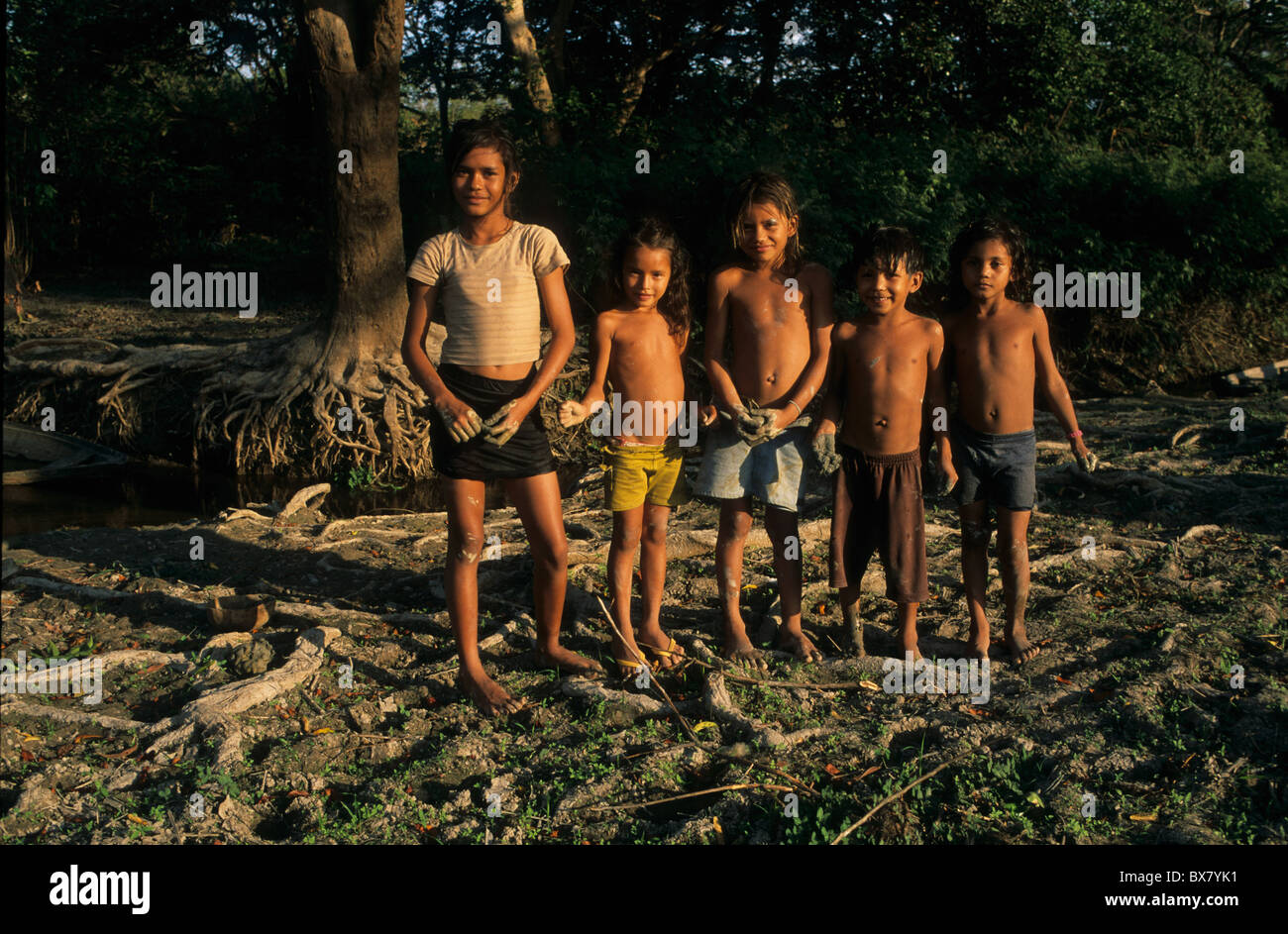 Abholzung des staates -Fotos und -Bildmaterial in hoher Auflösung – Alamy