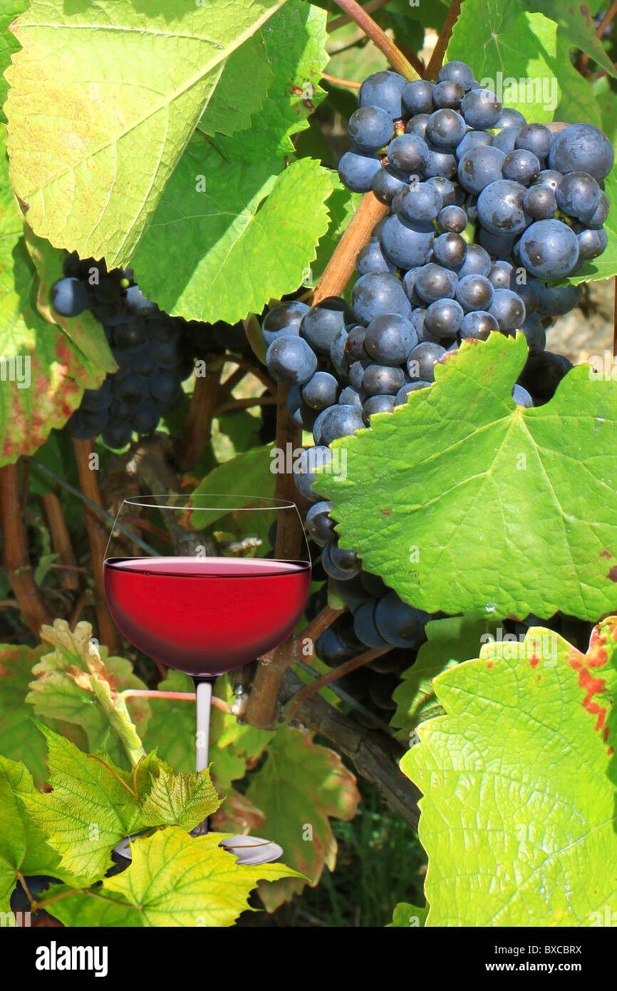 Wine list -Fotos und -Bildmaterial in hoher Auflösung – Alamy