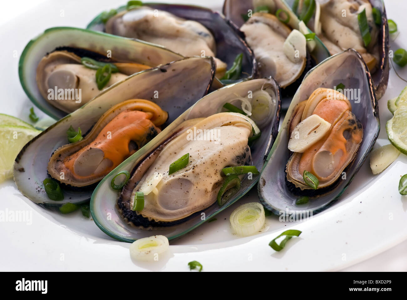 Muscheln essen -Fotos und -Bildmaterial in hoher Auflösung – Alamy