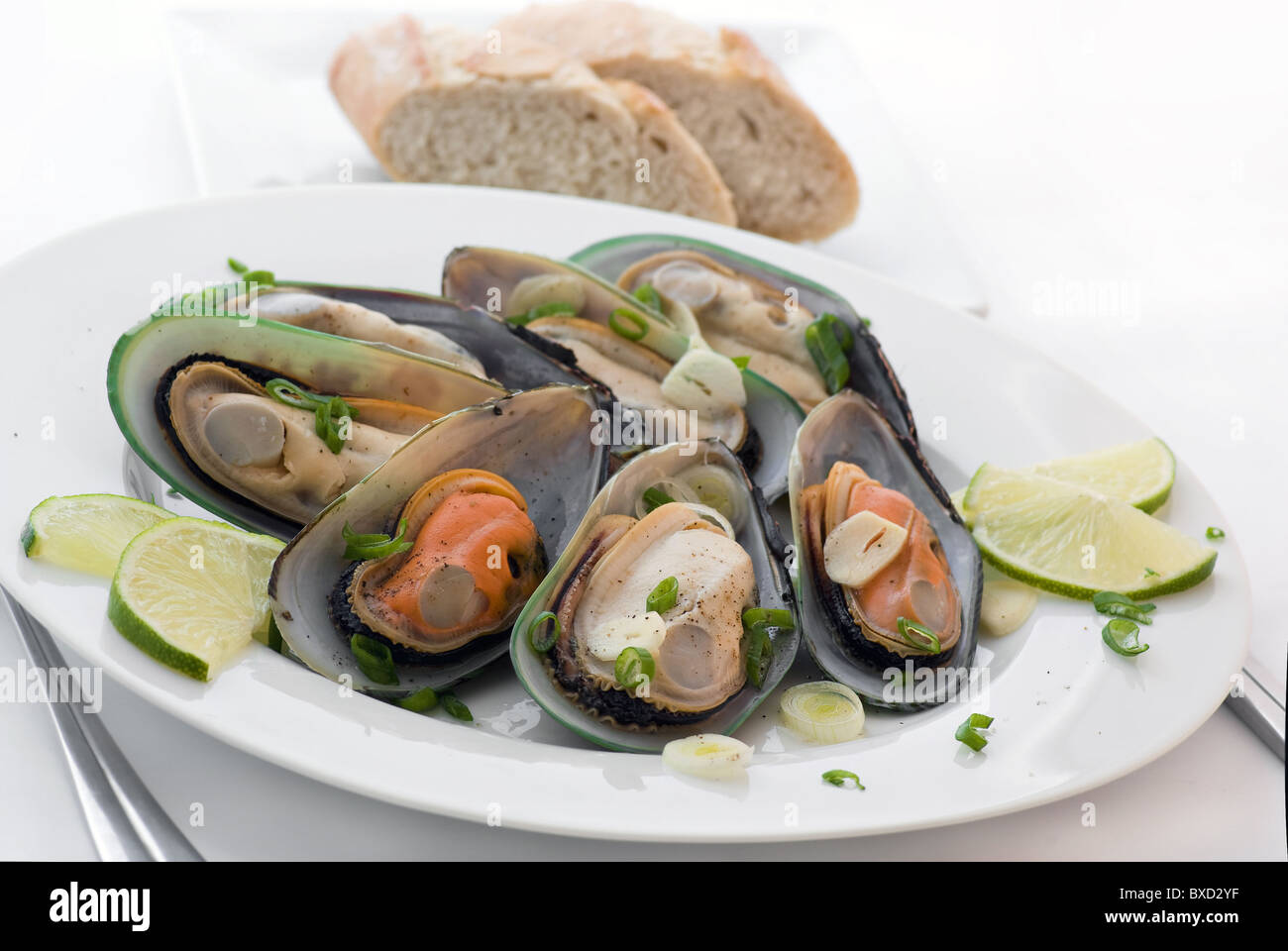 Muscheln essen -Fotos und -Bildmaterial in hoher Auflösung – Alamy
