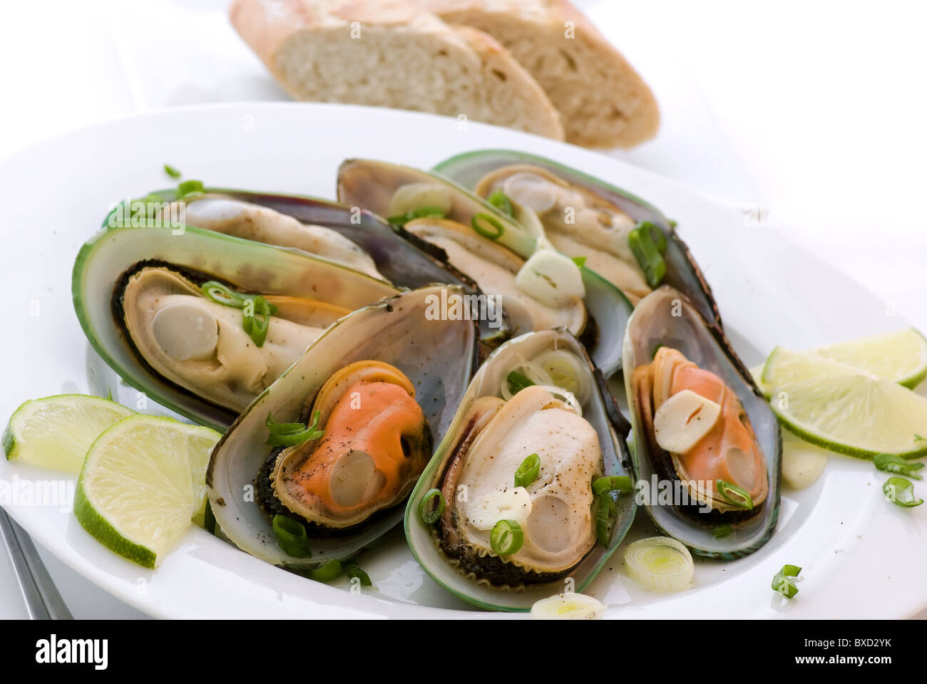 Muscheln essen -Fotos und -Bildmaterial in hoher Auflösung – Alamy