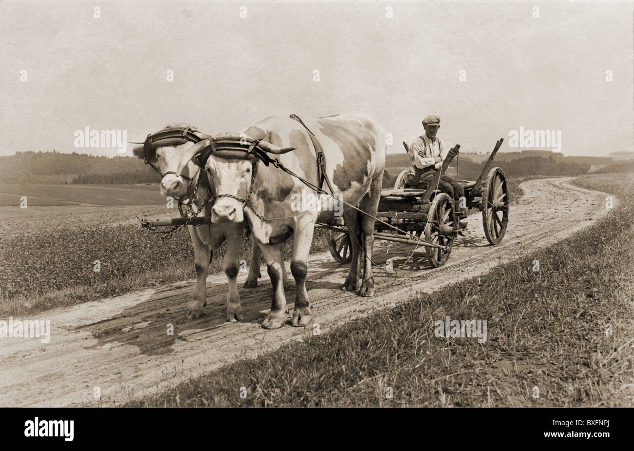 1920er jahre landwirtschaft -Fotos und -Bildmaterial in hoher Auflösung – Alamy