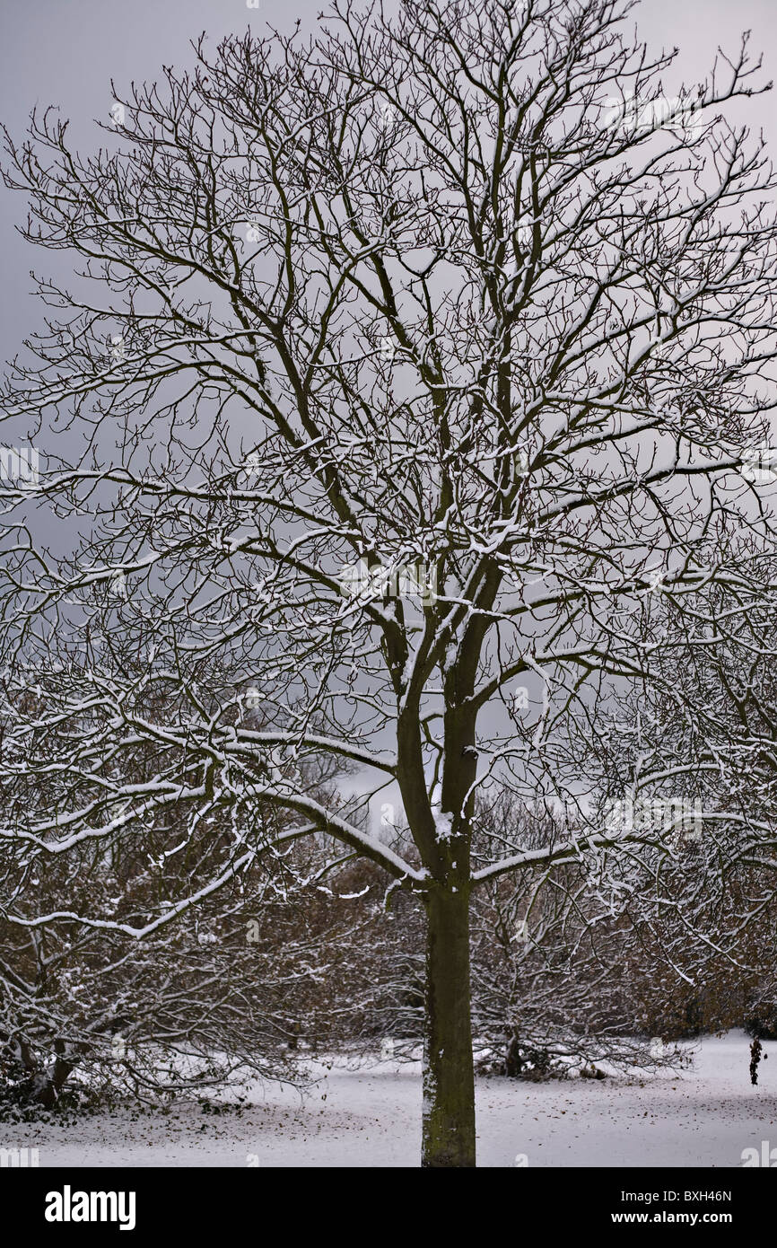 Mit schnee und im winter -Fotos und -Bildmaterial in hoher Auflösung ...
