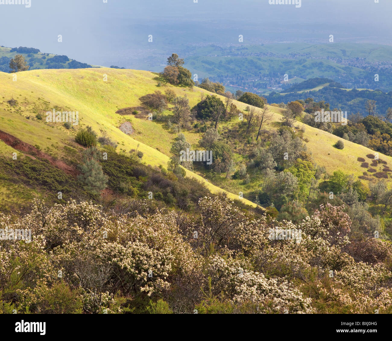 Mount diablo state park -Fotos und -Bildmaterial in hoher Auflösung – Alamy