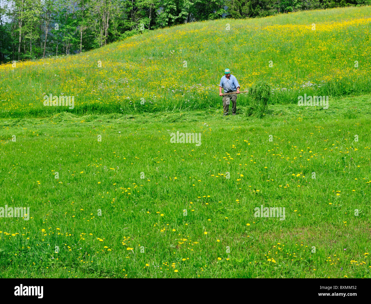 Swiss farmer -Fotos und -Bildmaterial in hoher Auflösung – Alamy