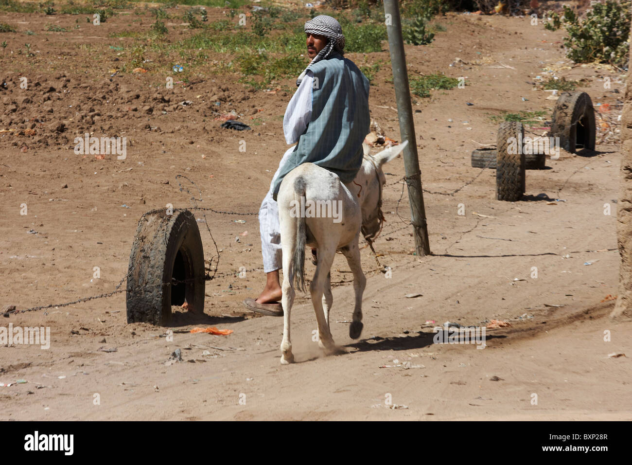 Mann esel -Fotos und -Bildmaterial in hoher Auflösung – Alamy