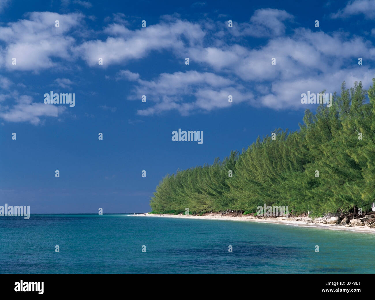Lucayan strand -Fotos und -Bildmaterial in hoher Auflösung – Alamy