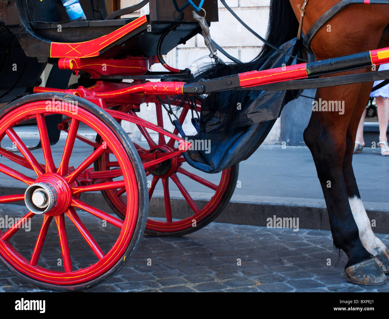 Detail einer römischen Kutsche mit Pferd Stockfotografie - Alamy