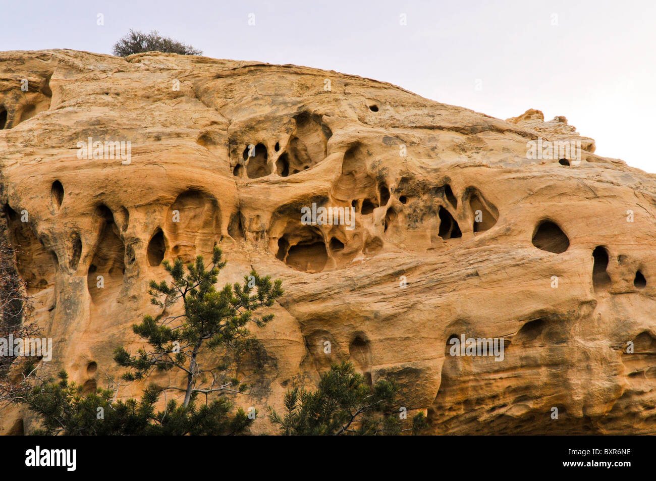 Vom Wind Geschnitzt Stockfotos und -bilder Kaufen - Alamy