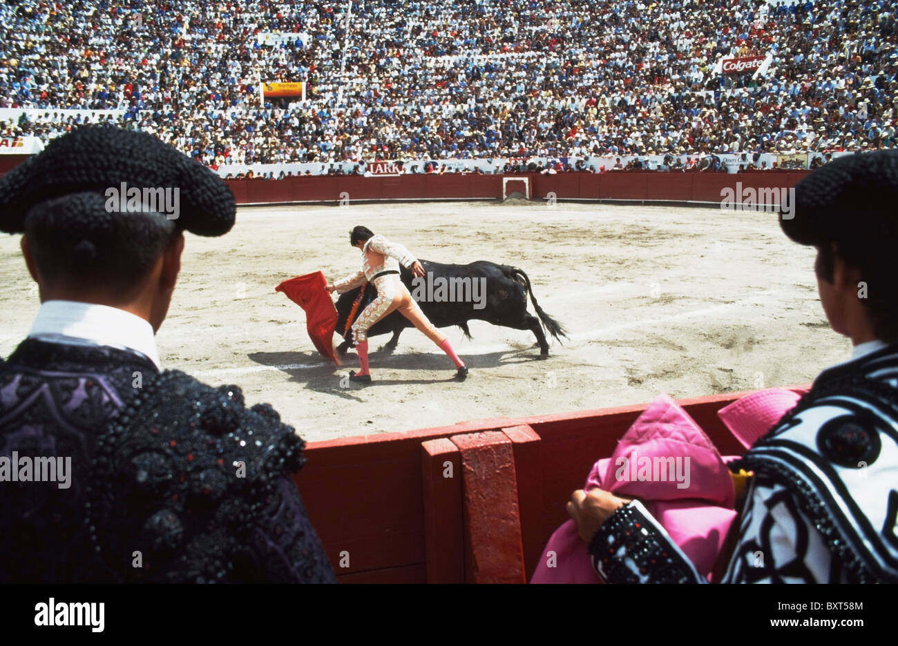 Matador herausforderungen -Fotos und -Bildmaterial in hoher Auflösung ...