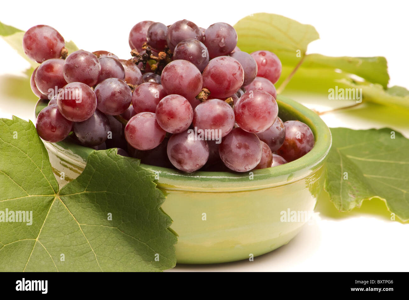 Rote trauben vitis vinifera Stockfotos und -bilder Kaufen - Alamy