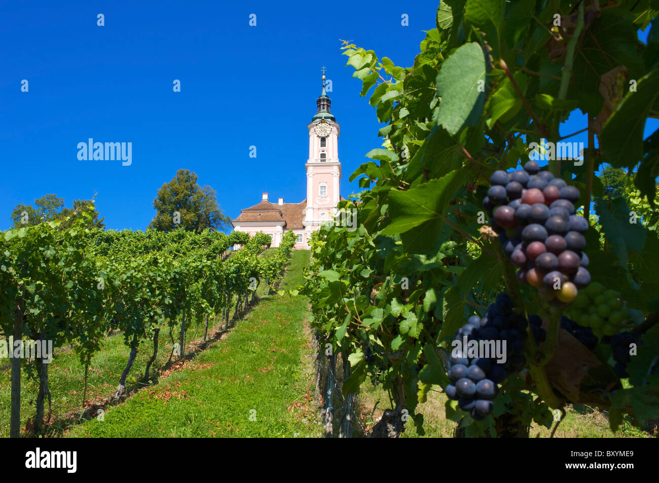 Birnau bodensee -Fotos und -Bildmaterial in hoher Auflösung – Alamy