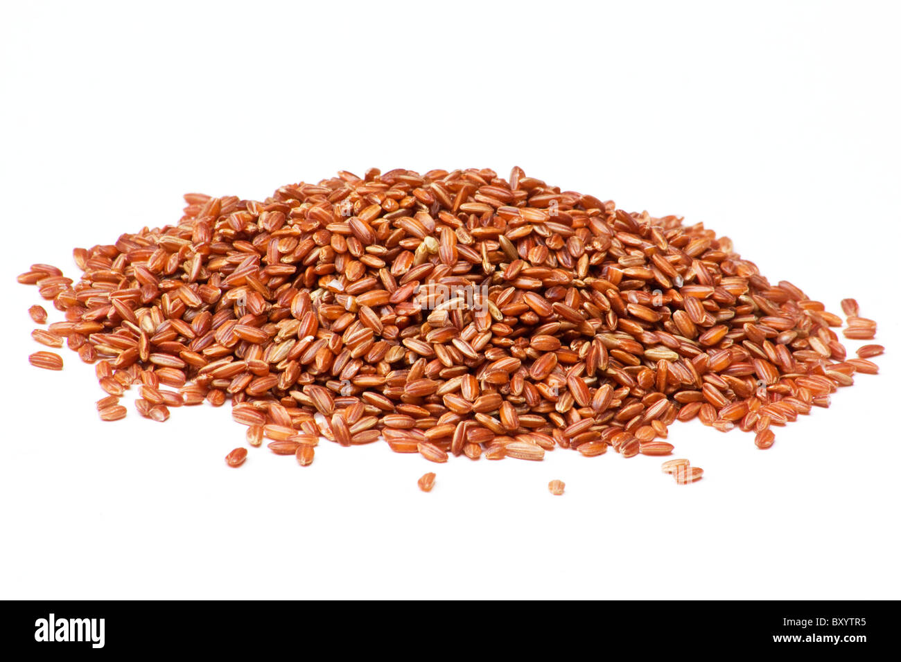 Roter Wildreis Stockfotos und -bilder Kaufen - Alamy