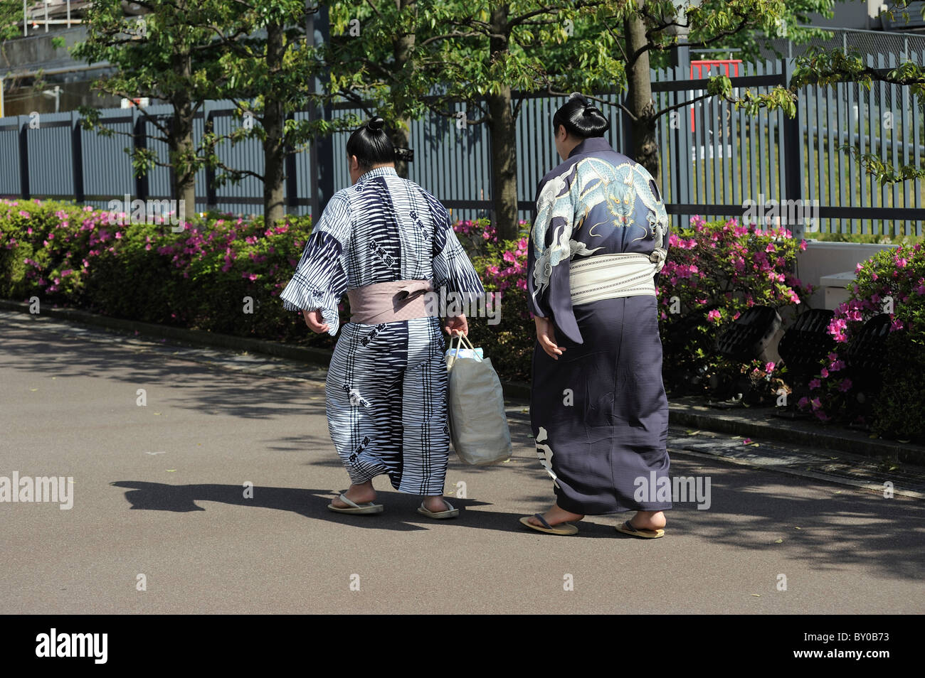 Young sumo wrestler at the dragon -Fotos und -Bildmaterial in hoher ...