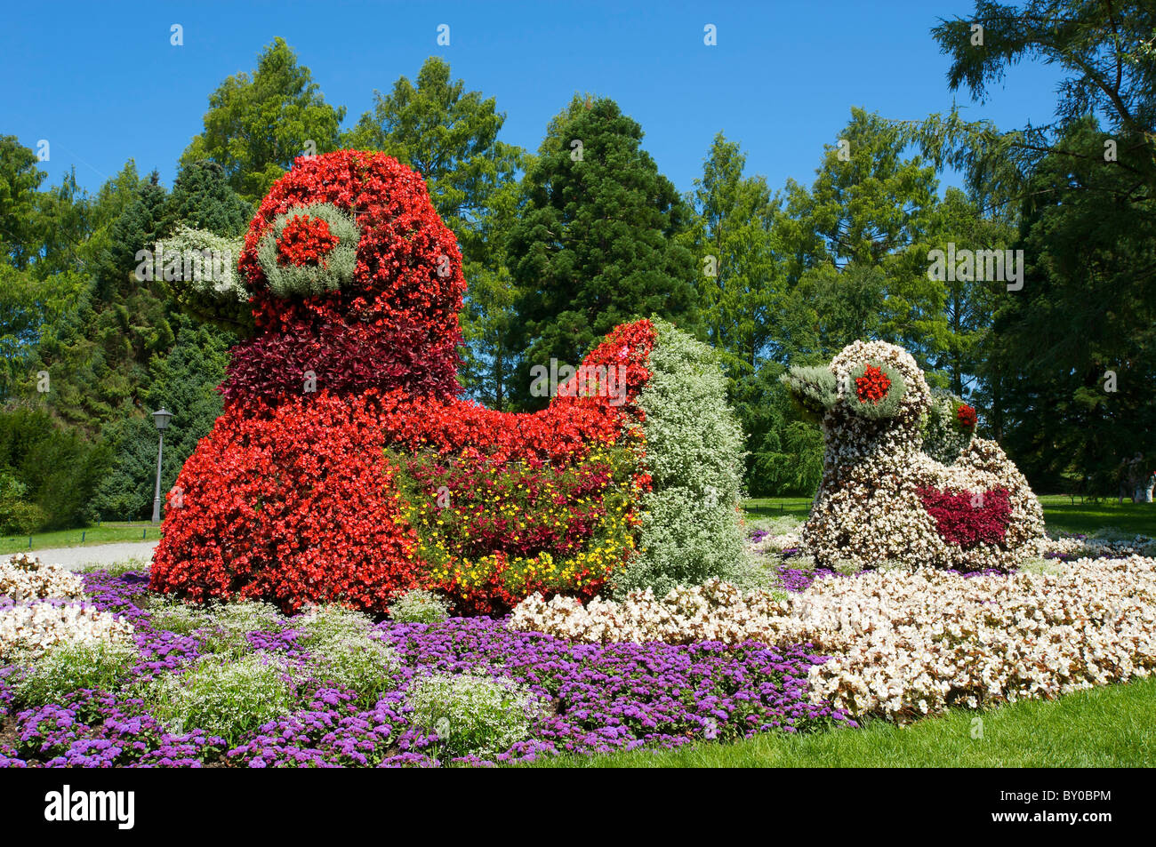 Insel mainau blumen -Fotos und -Bildmaterial in hoher Auflösung – Alamy