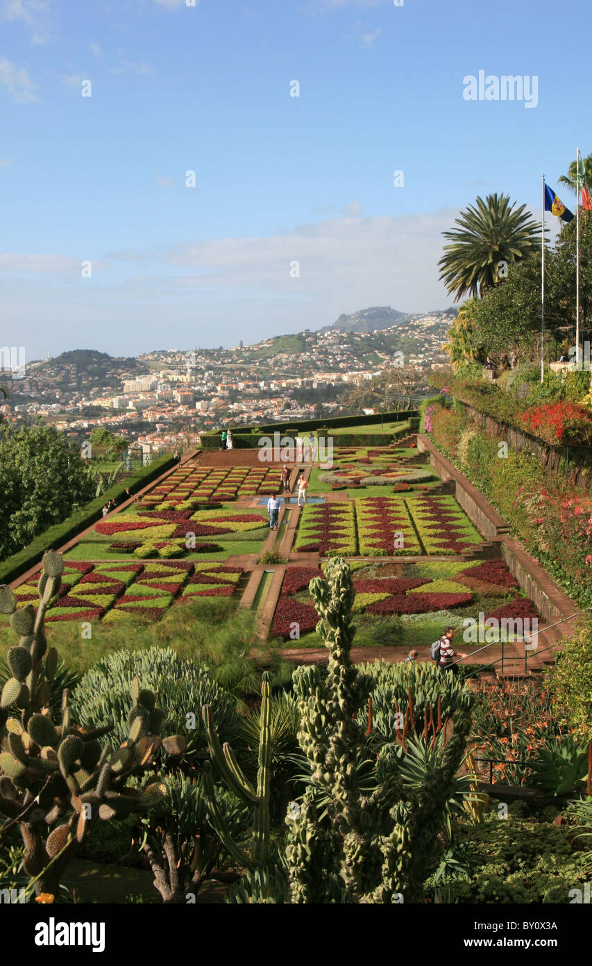 Madeira botanischer garten -Fotos und -Bildmaterial in hoher Auflösung ...
