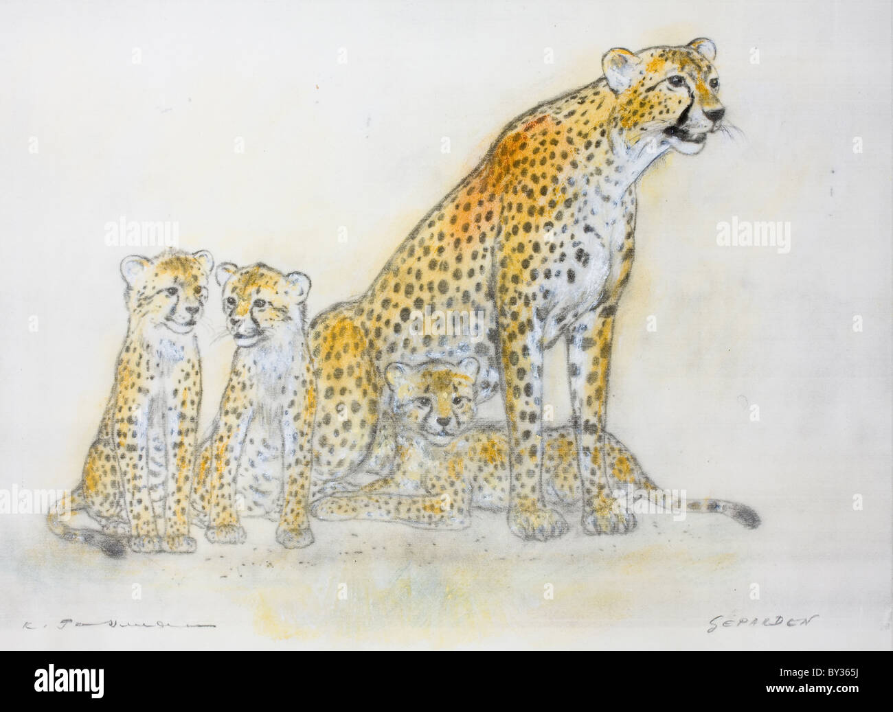 Jagd Leopard Stockfotos und -bilder Kaufen - Alamy