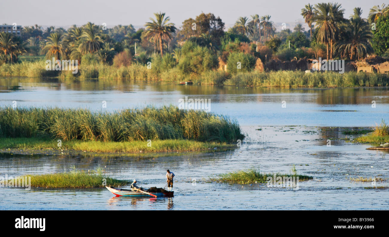 Nile reeds -Fotos und -Bildmaterial in hoher Auflösung – Alamy