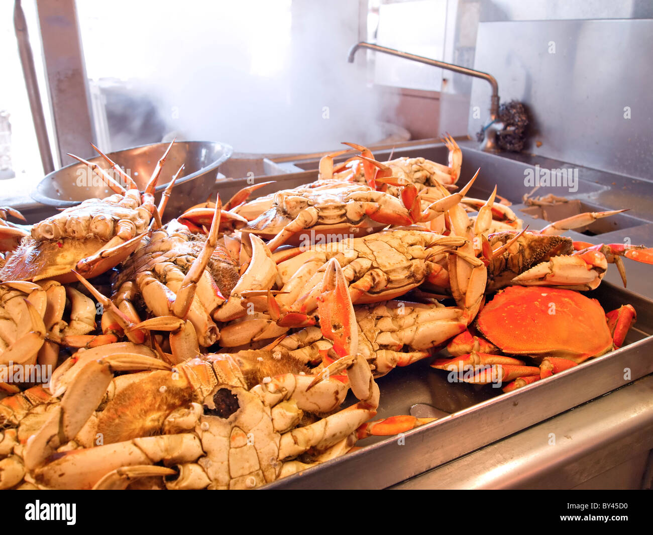 Krabben Beine Stockfotos und -bilder Kaufen - Alamy