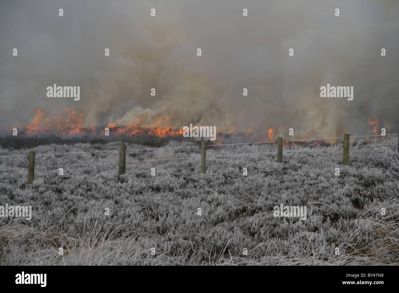 Brennender Torf Stockfotos und -bilder Kaufen - Alamy