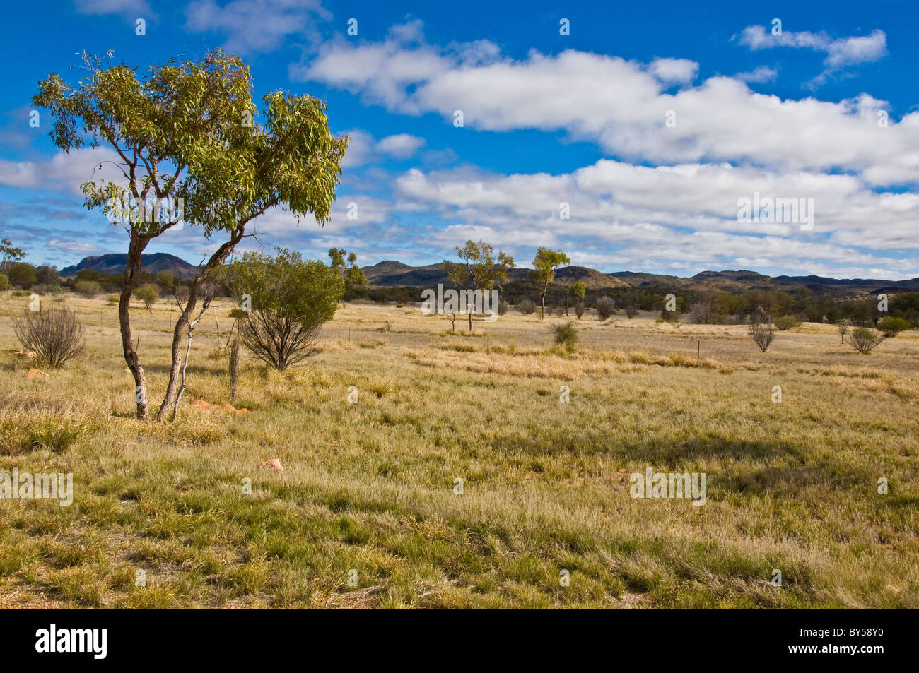 Outback landscape -Fotos und -Bildmaterial in hoher Auflösung – Alamy