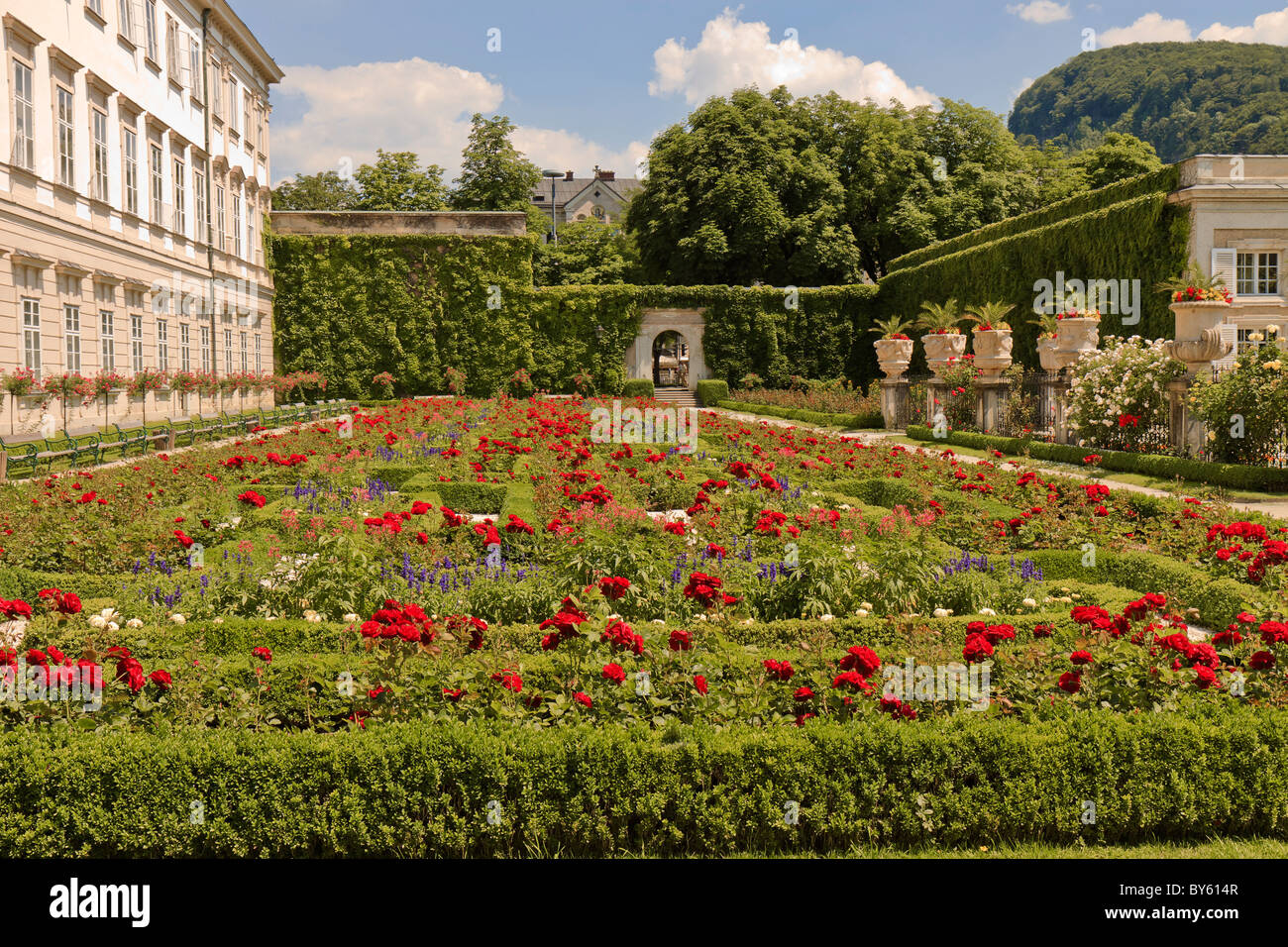 Rosengarten Austria Stockfotos und -bilder Kaufen - Alamy