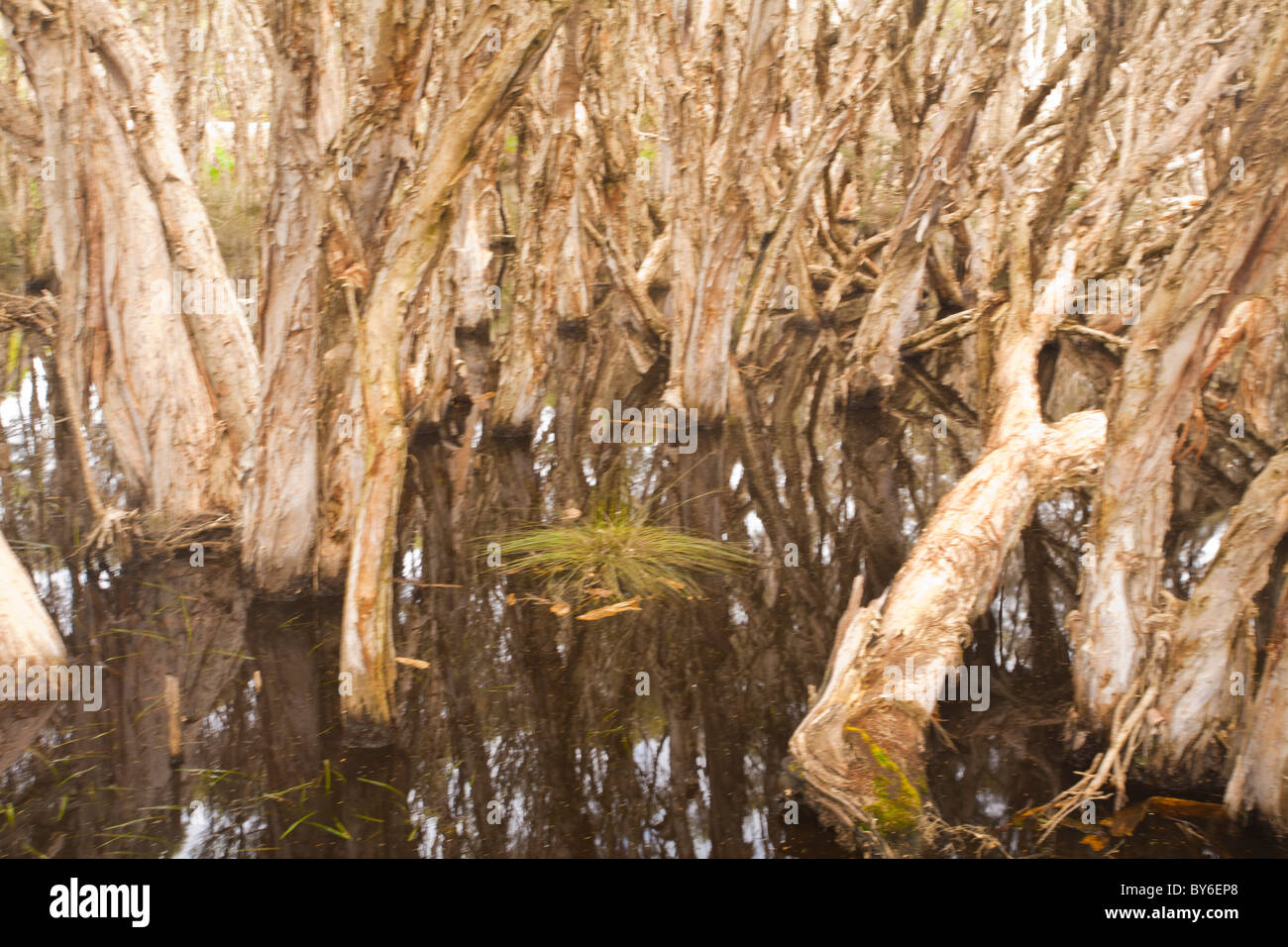 Ti erhaltung -Fotos und -Bildmaterial in hoher Auflösung – Alamy