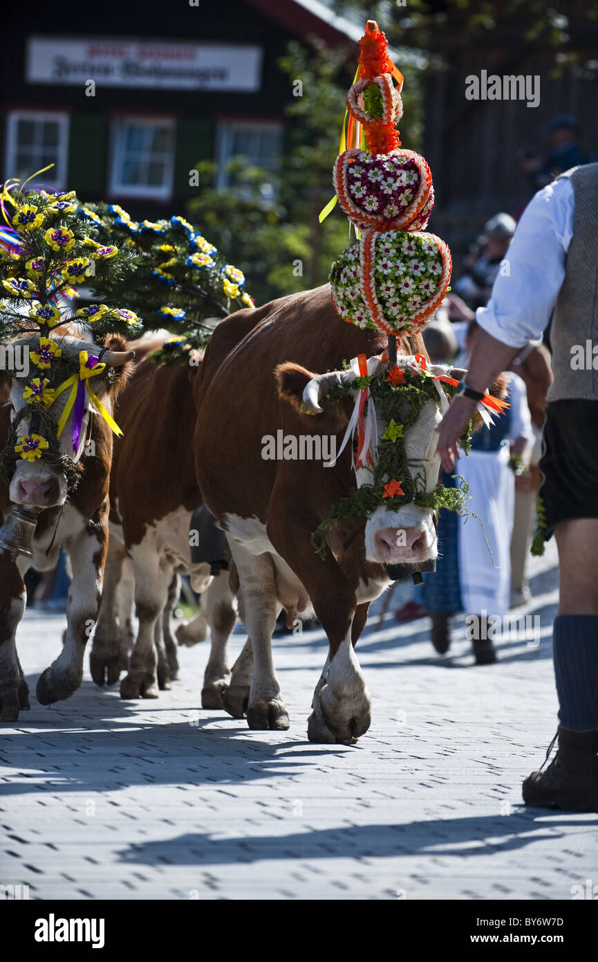 Almabtrieb Festival Stockfotos und -bilder Kaufen - Alamy