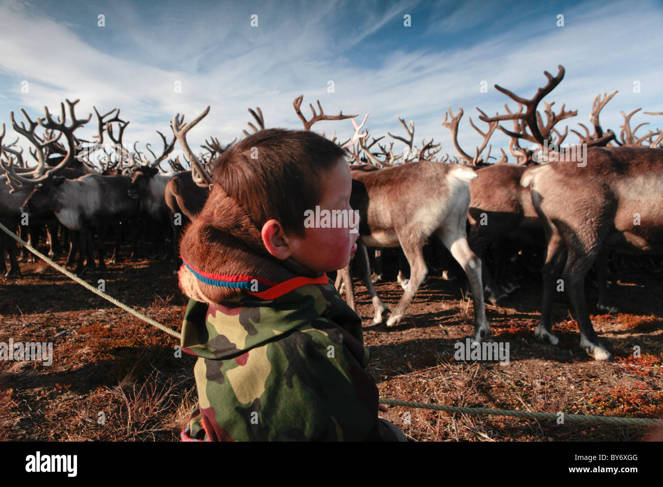 Die Nenet Stamm der Jamal-Halbinsel Russlands sind Rentierzüchter ...