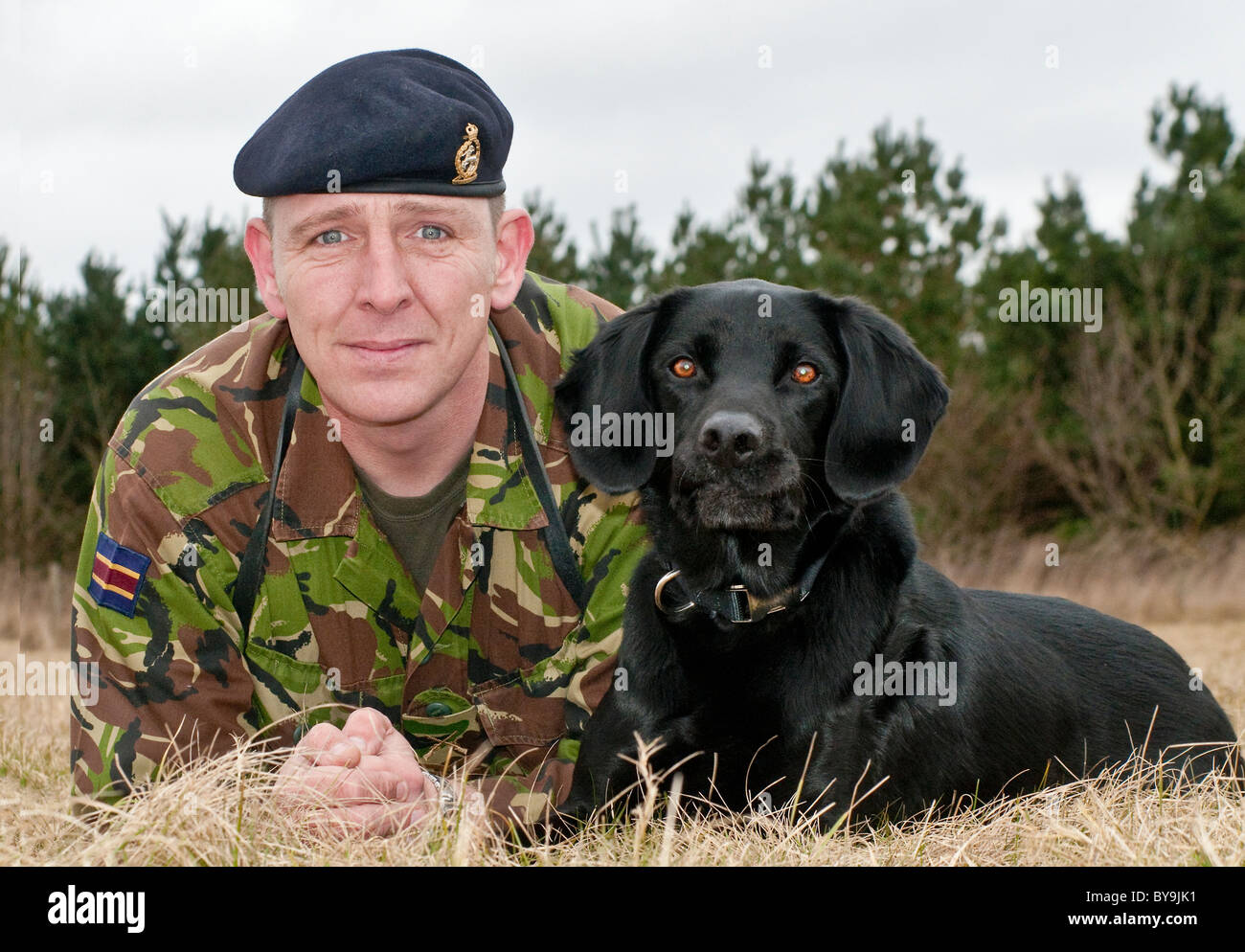 Dickin medaille -Fotos und -Bildmaterial in hoher Auflösung – Alamy